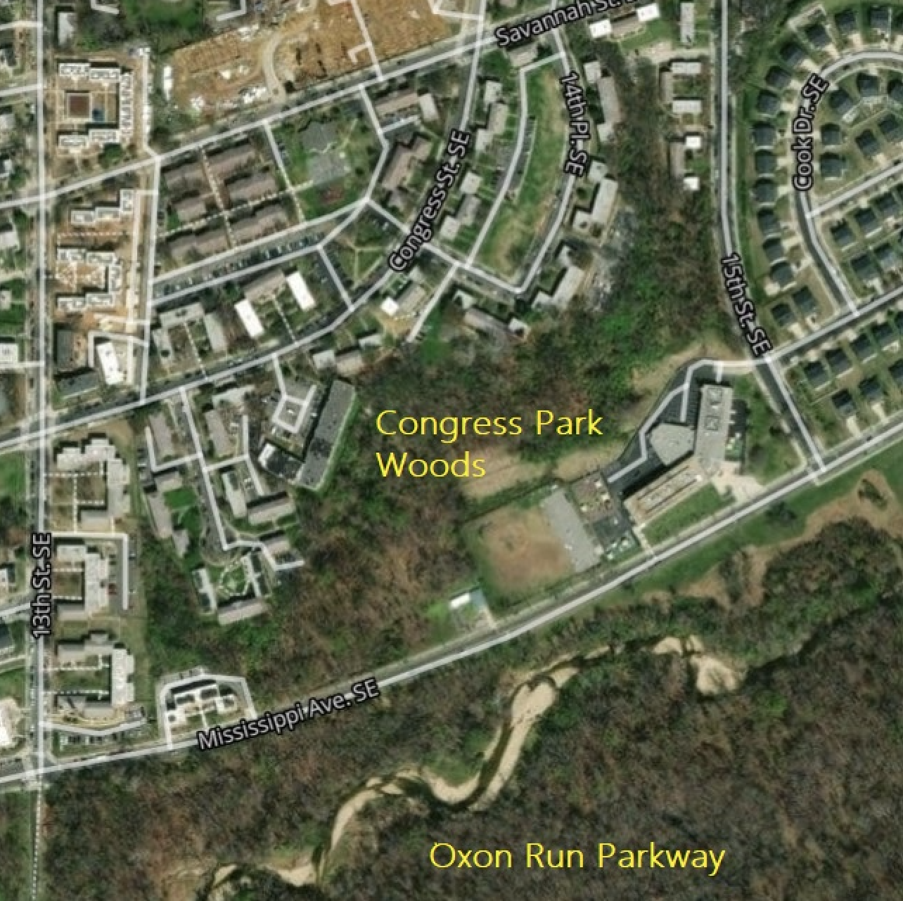 Congress Park Woods